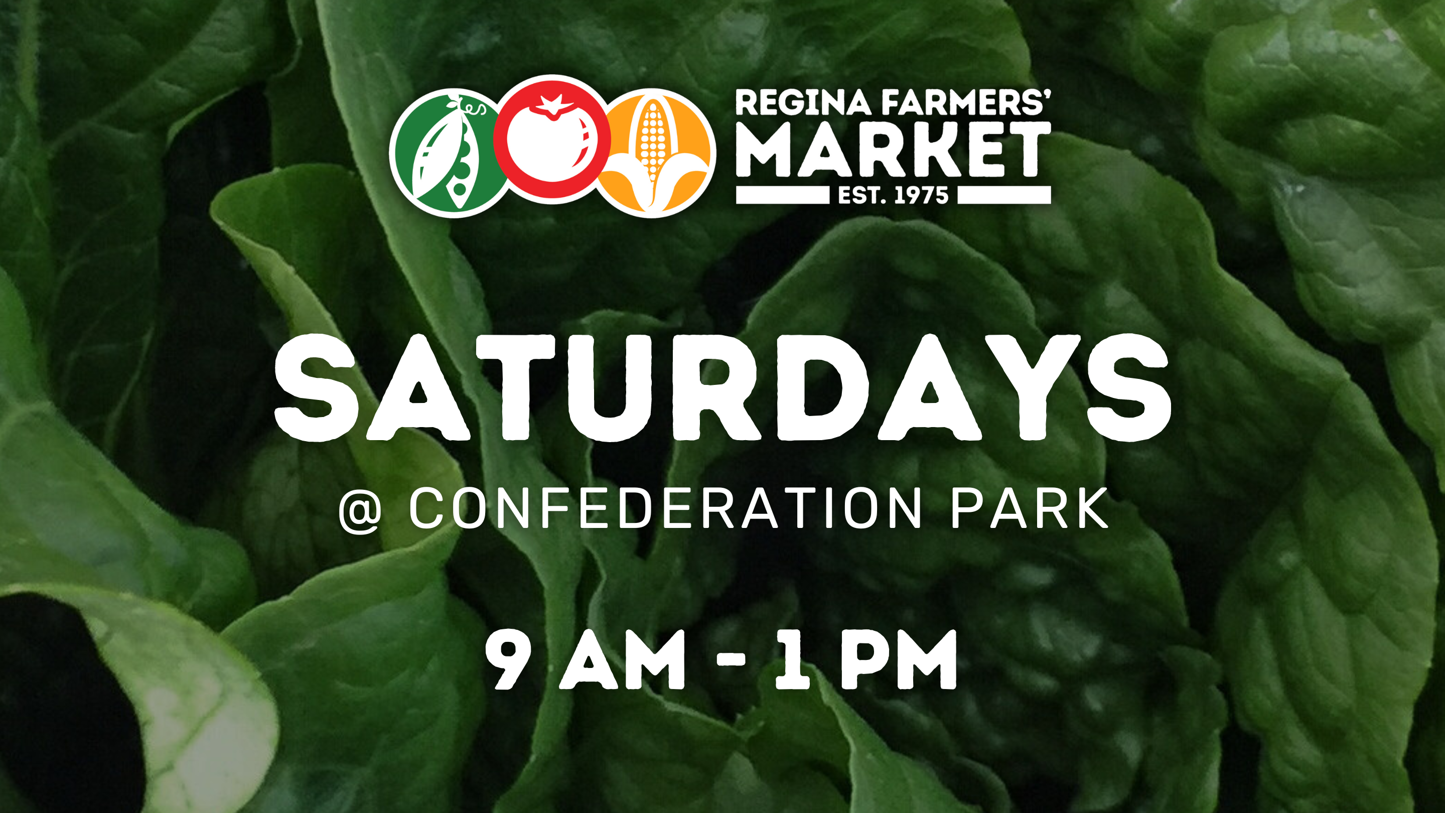 Regina Farmers' Market | REAL District